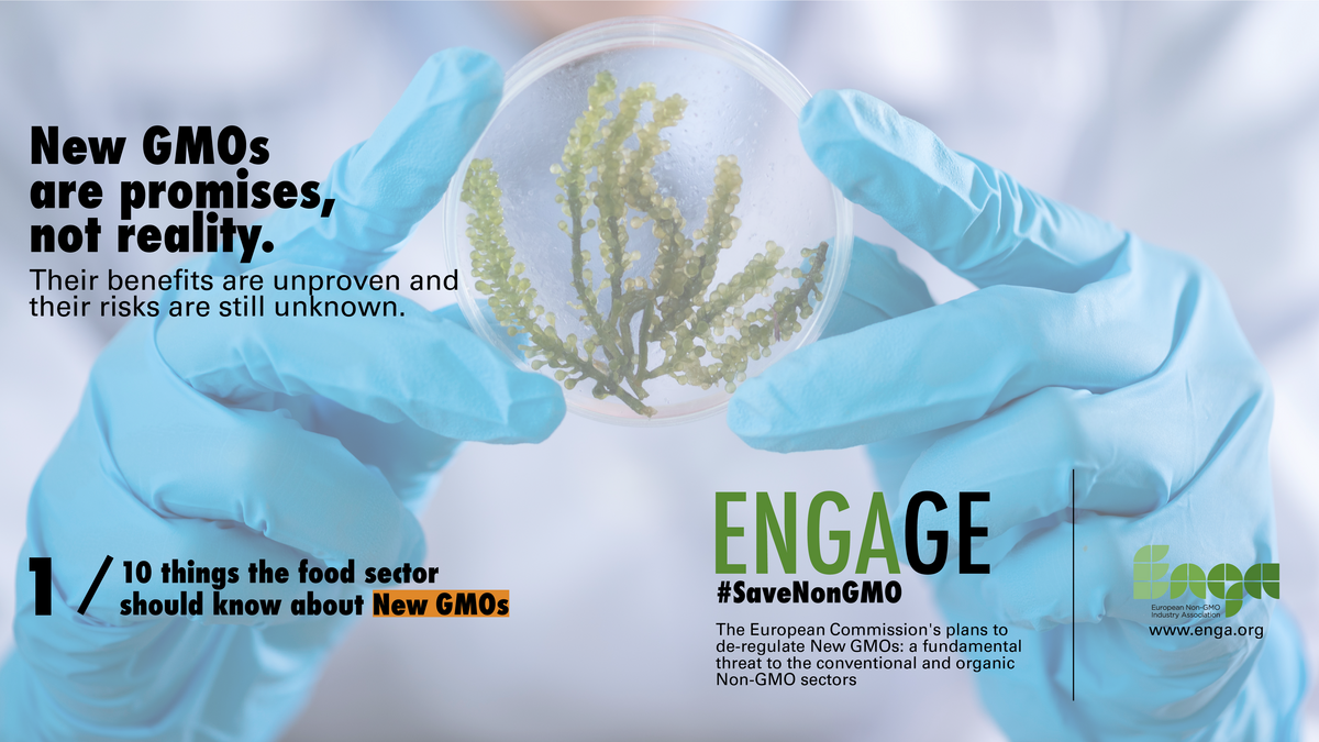 10 things the food sector needs to know about New GMOs: ENGA European ...